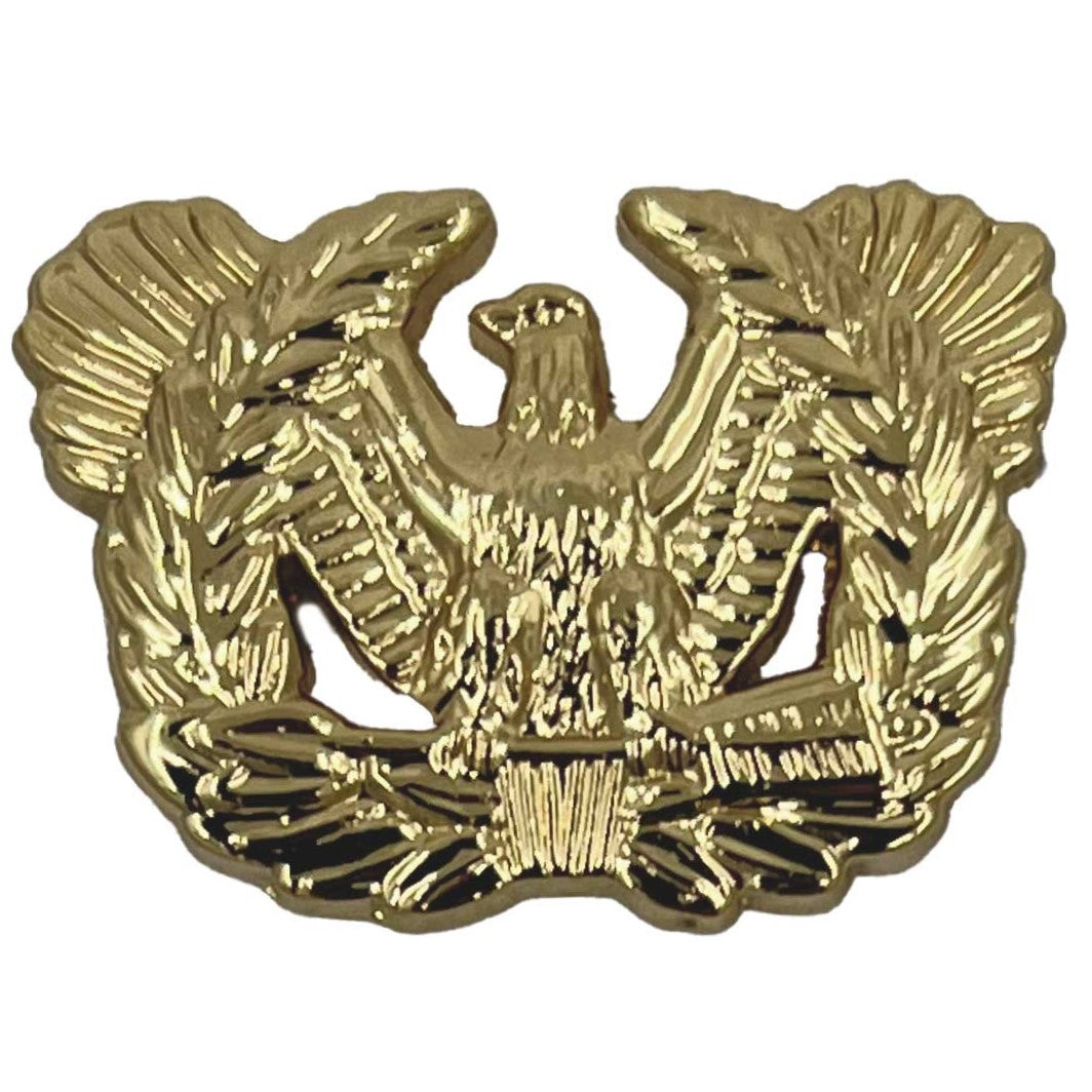 Warrant Officer Eagle Rising Branch Insignia – CavHooah.com