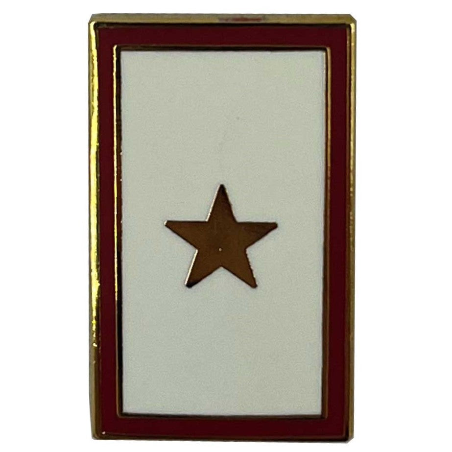Gold Star Pin – CavHooah.com